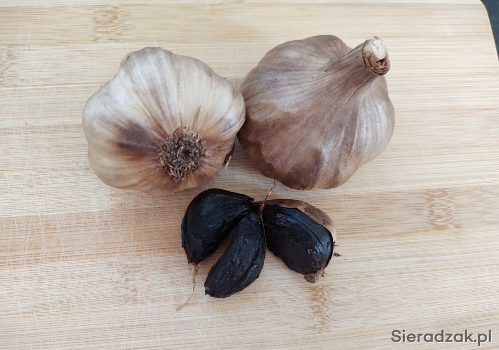 czosnek czarny - Sieradzak.pl