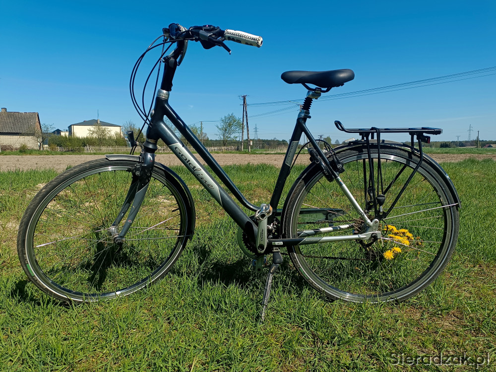 Rower damski Gazelle - Sieradzak.pl