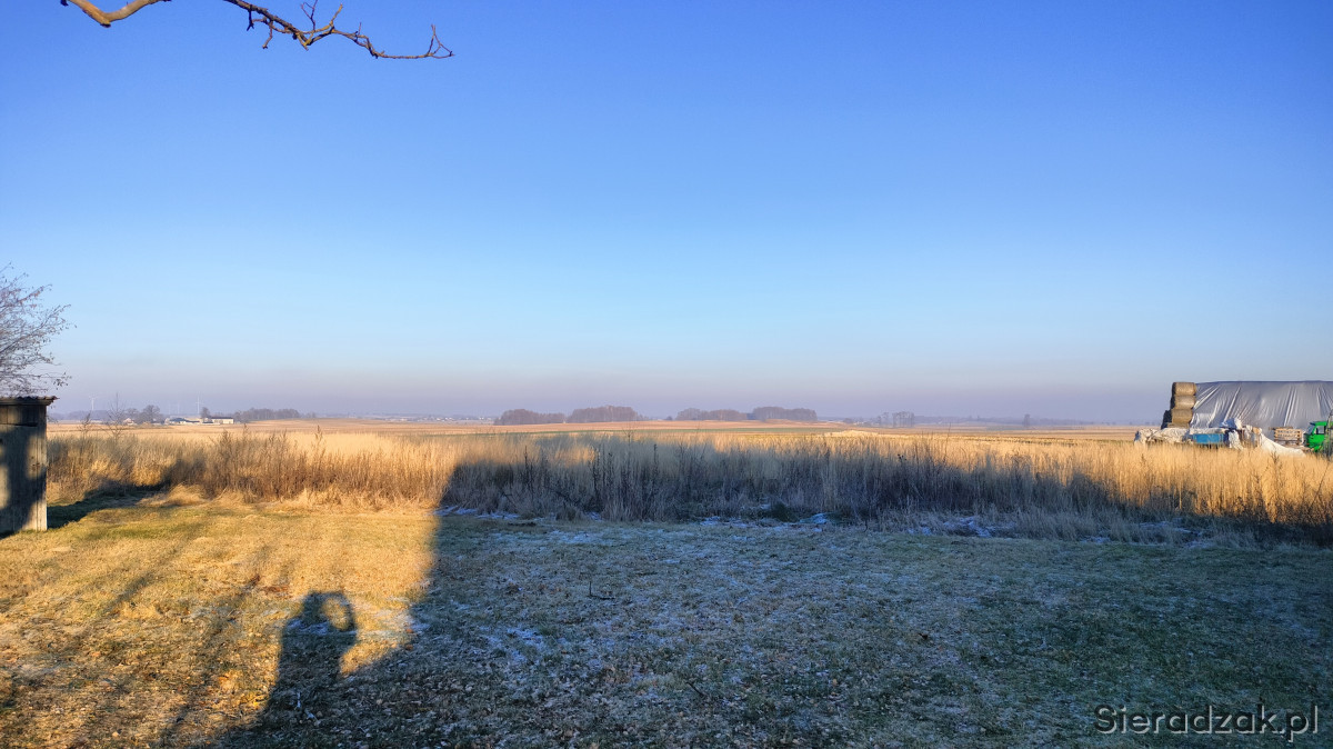 Działka w miejscowości Sadokrzyce - Sieradzak.pl