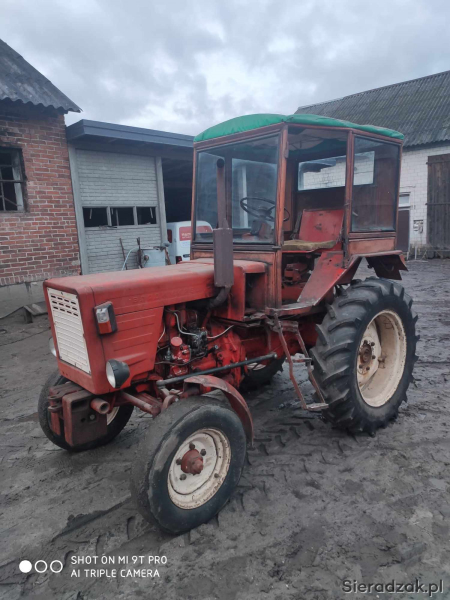 Władimirec T25 - Sieradzak.pl